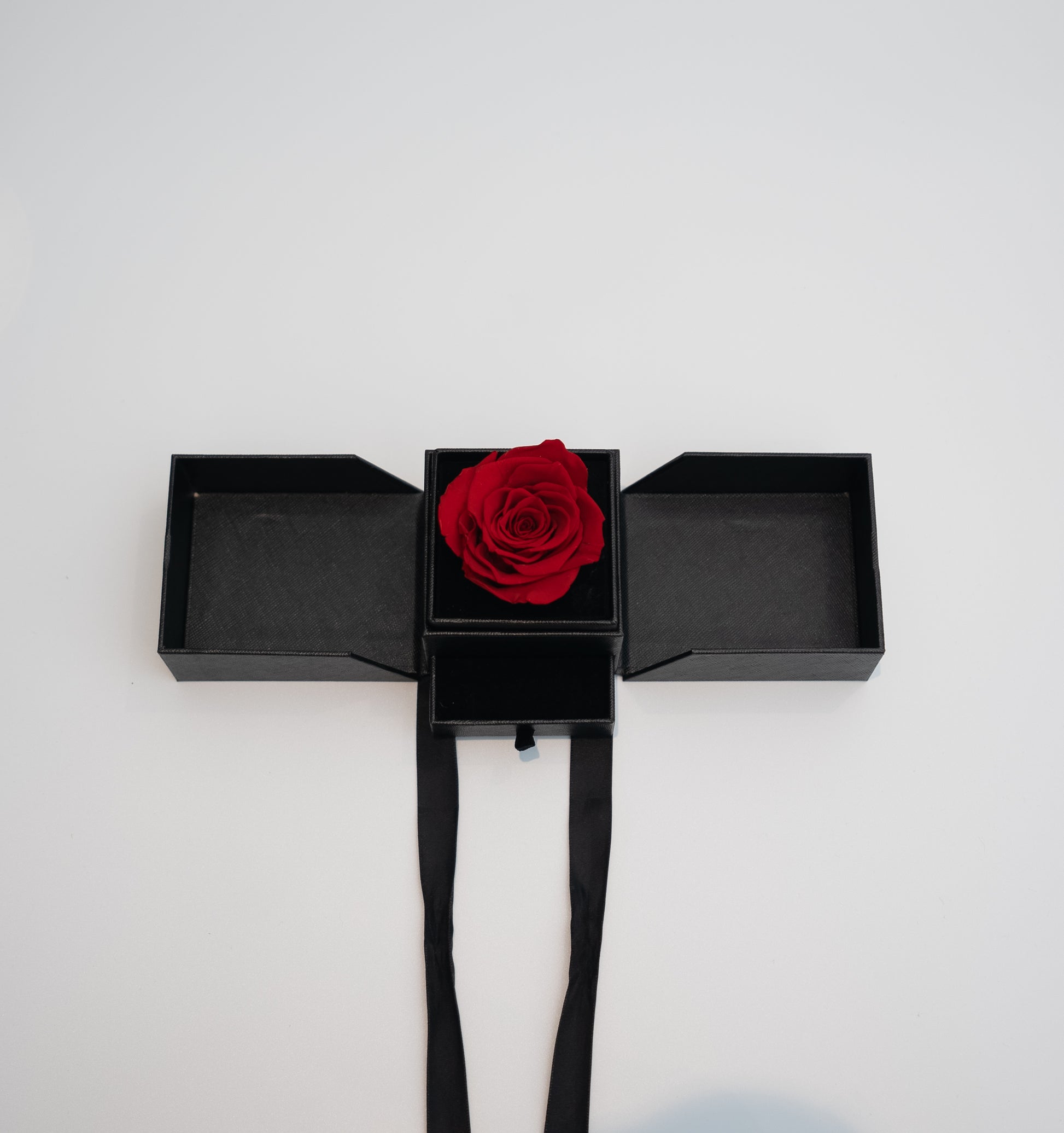 The One – Roses for Goddess